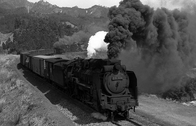 関西線 加太越え1 D51 | 鉄道写真 四季の中を走る鉄道車両